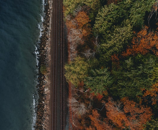 Weiss Asset Management | Internships & Jobs