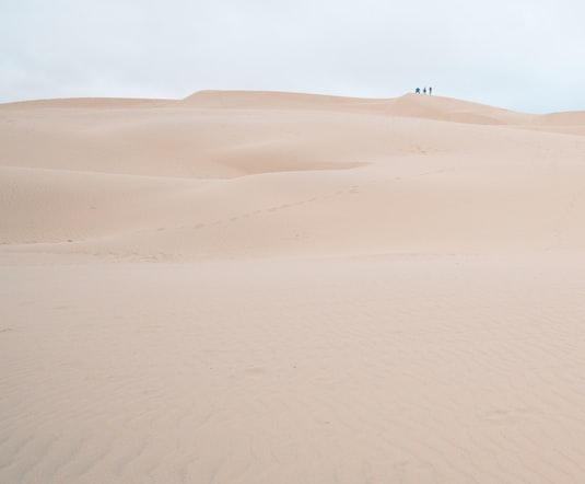 Weiss Asset Management | Internships & Jobs